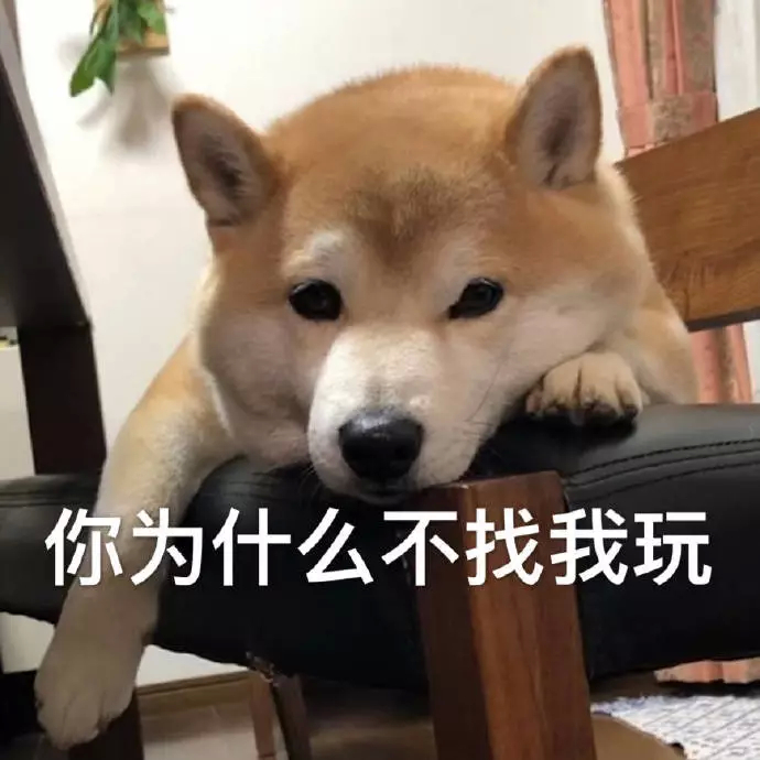 表情包156：你为什么不找我玩？吓的小狗狗吃惊惊不能回神神了