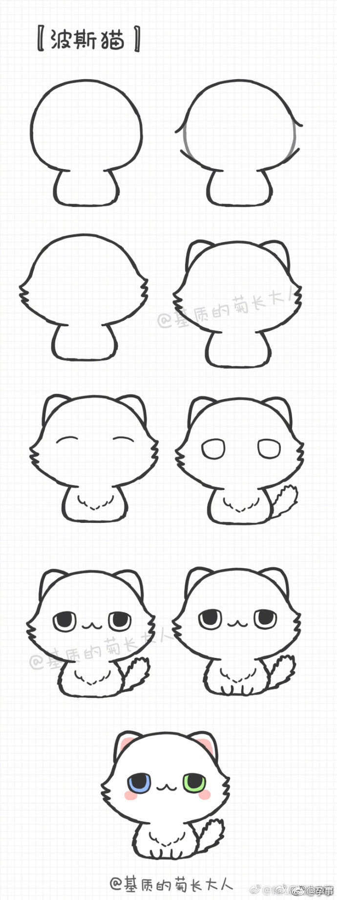 不同种类的猫咪简笔画