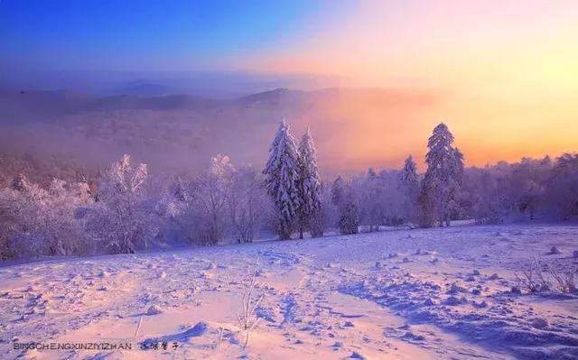 这是中国冬天最美一条公路,邂逅雪淞美如仙境!|大秃顶子山|冰雪画廊|雪乡_新浪新闻