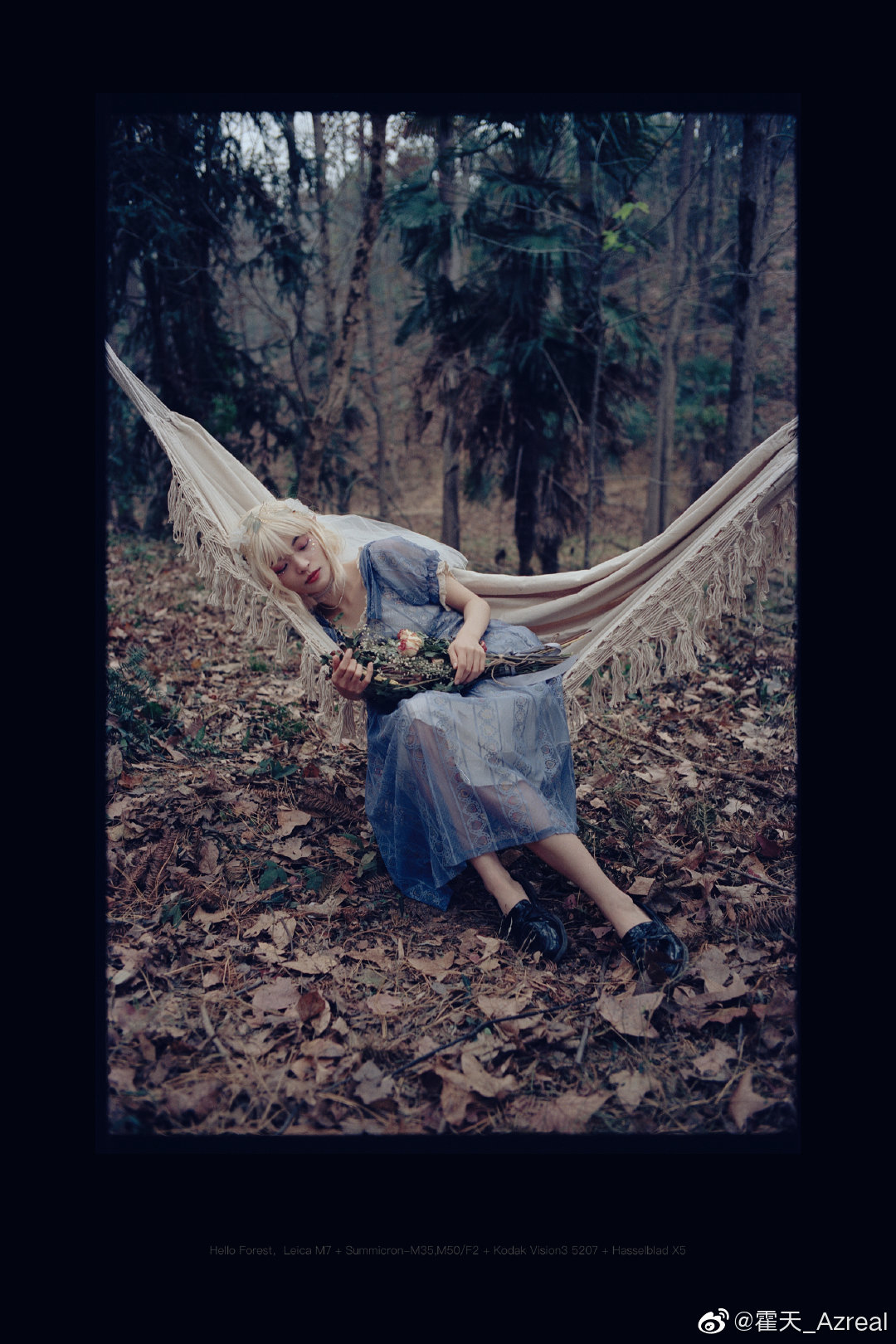 2019，Sinsir长乐林场遇见精灵，比较正式的一组预告片。精灵__财经头条