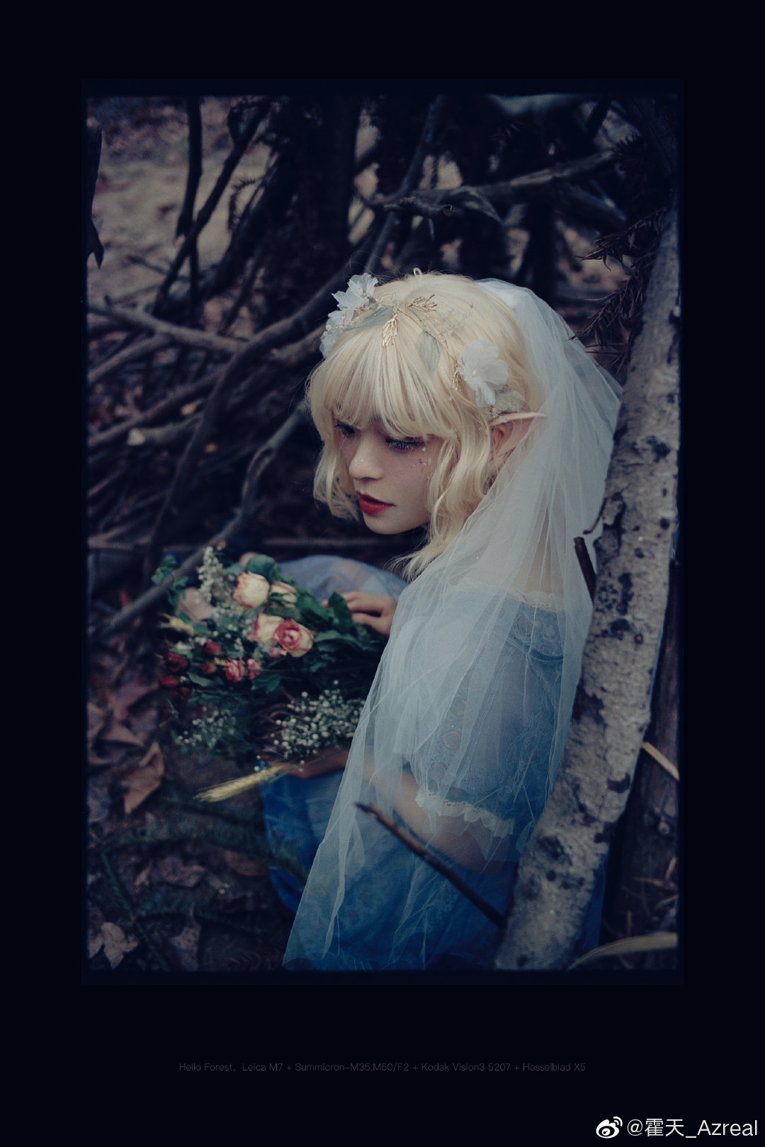 2019，Sinsir长乐林场遇见精灵，比较正式的一组预告片。精灵__财经头条