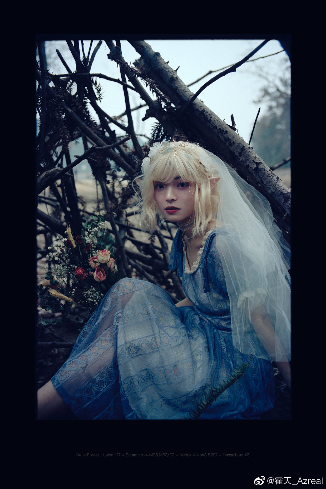 2019，Sinsir长乐林场遇见精灵，比较正式的一组预告片。精灵__财经头条