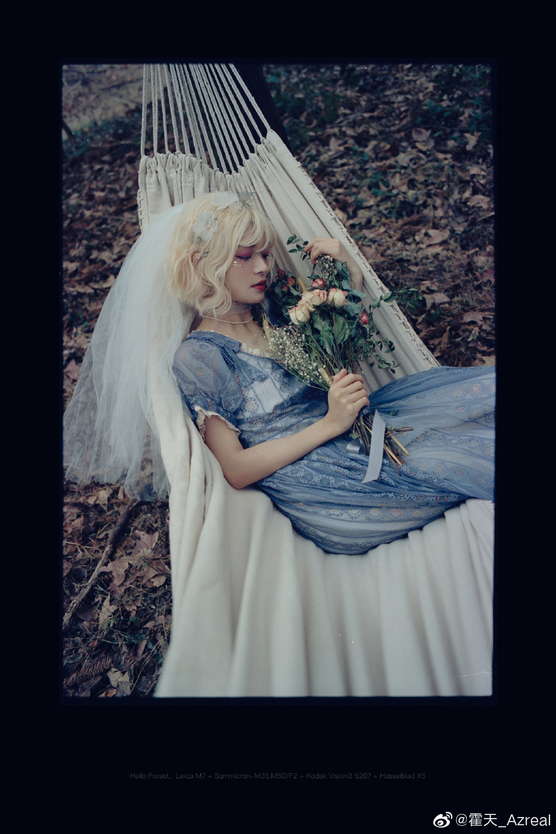 2019，Sinsir长乐林场遇见精灵，比较正式的一组预告片。精灵__财经头条