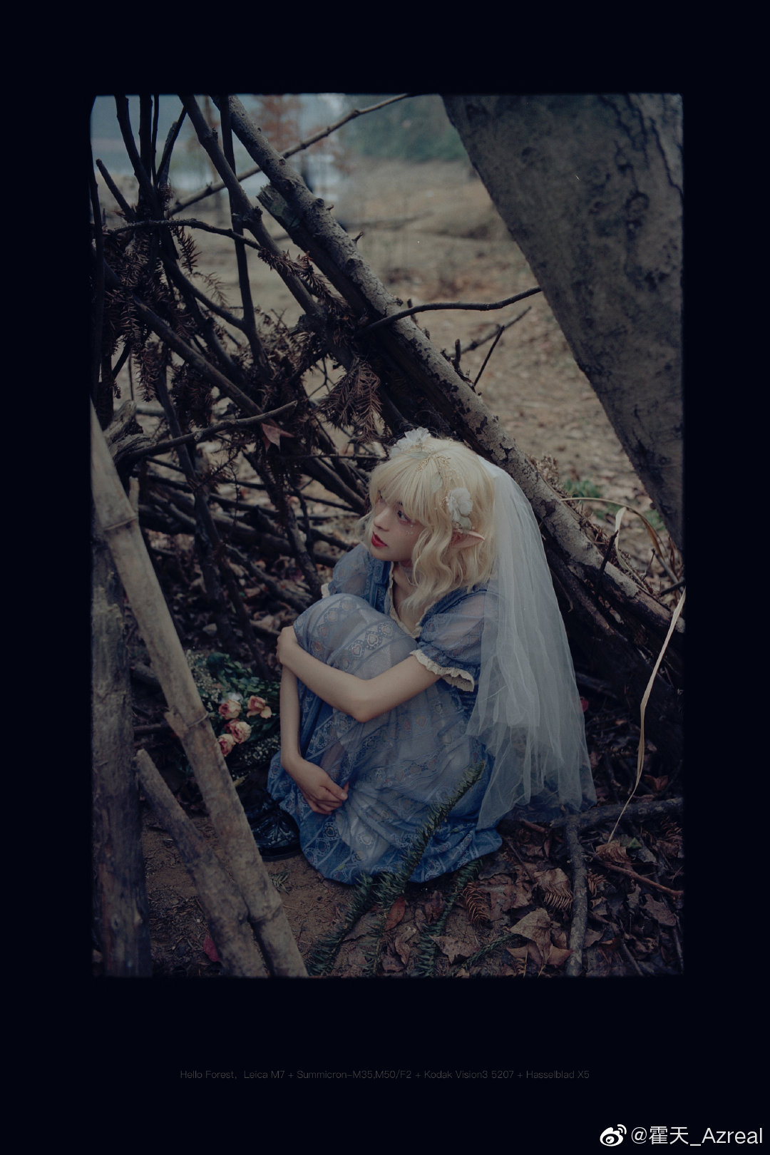 2019，Sinsir长乐林场遇见精灵，比较正式的一组预告片。精灵__财经头条