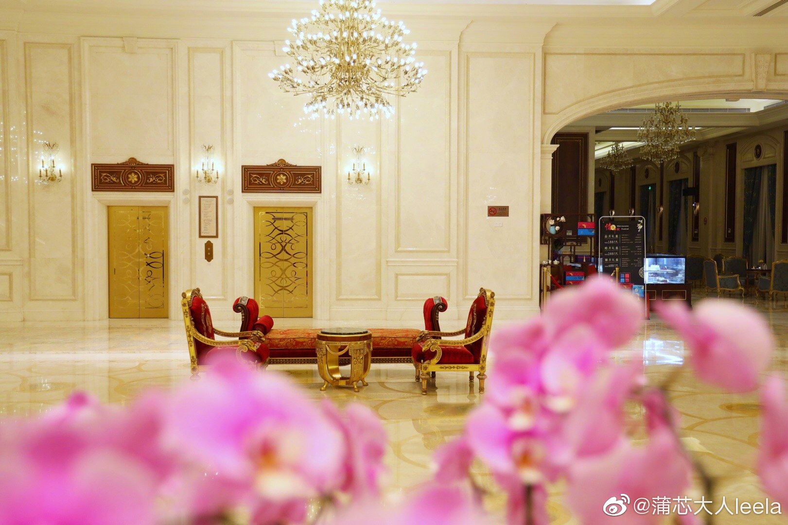 这次来上海坐地中海邮轮去日本，同行的小伙伴带着超大的行李箱|盥洗台|邮轮|地中海_新浪新闻