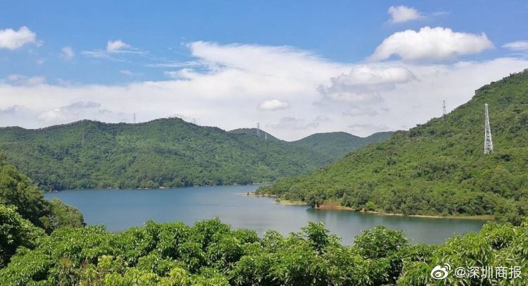 深圳市梅林水库：人与自然和谐共生的美丽深圳典范|水利部_新浪新闻