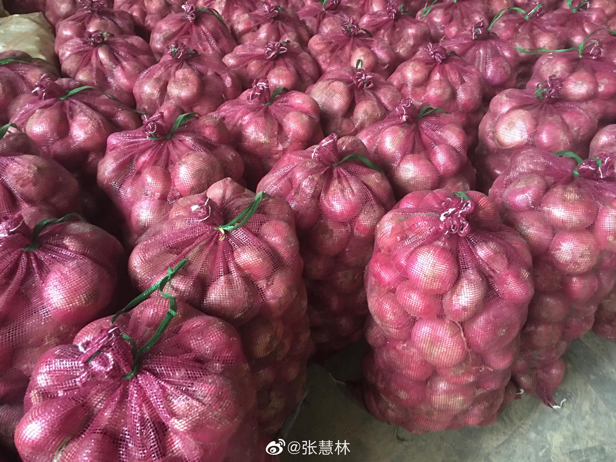 南京众彩今日蔬菜菜价|水芹|笋瓜|芦蒿_新浪新闻