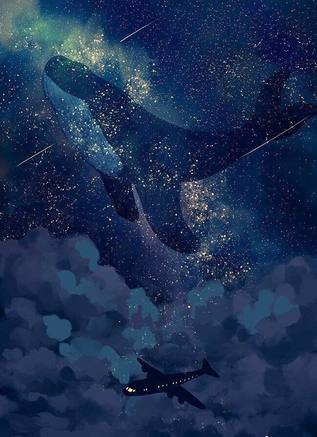 星海梦境 :插画师제딧/Jedit