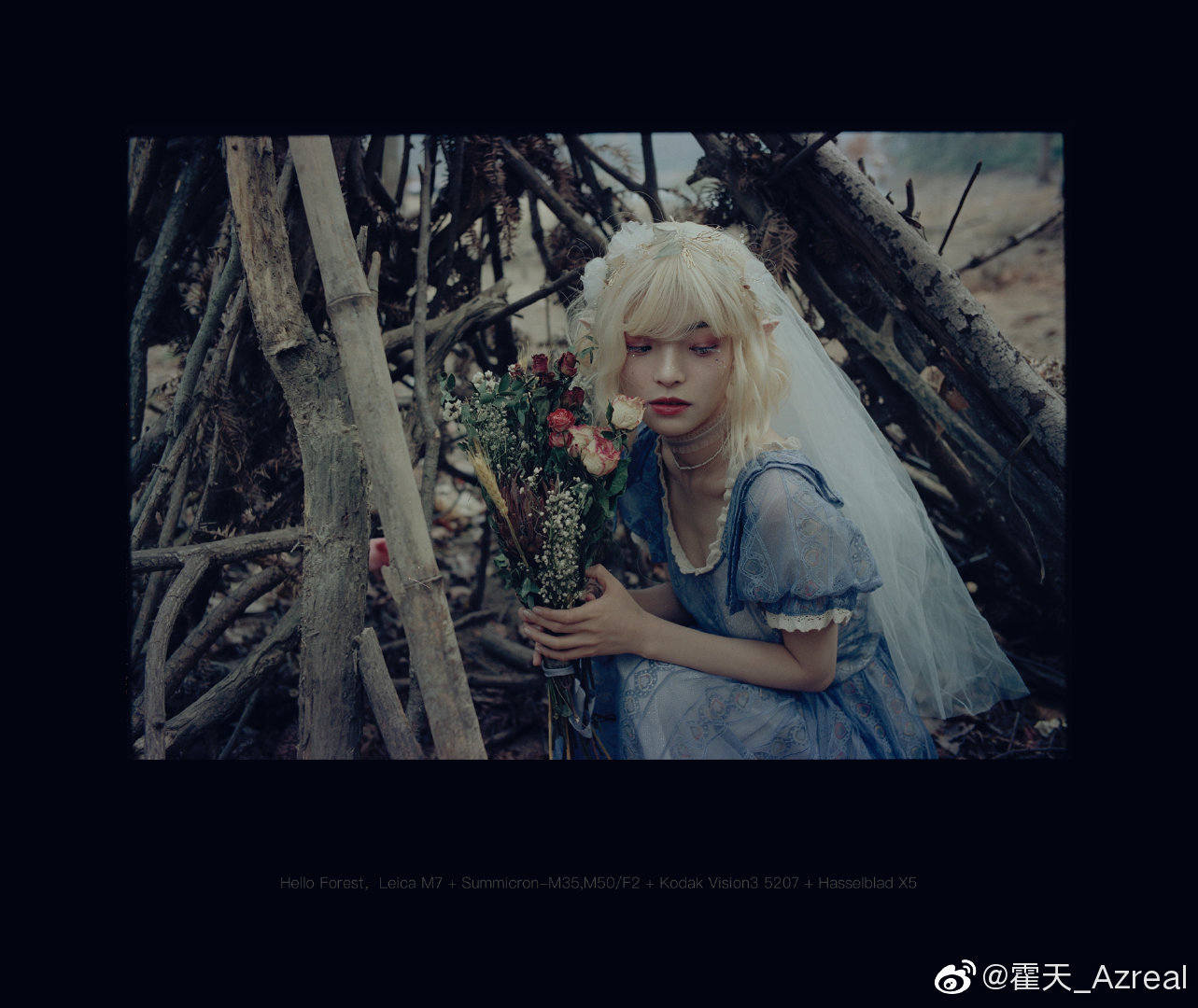 2019，Sinsir长乐林场遇见精灵，比较正式的一组预告片。精灵