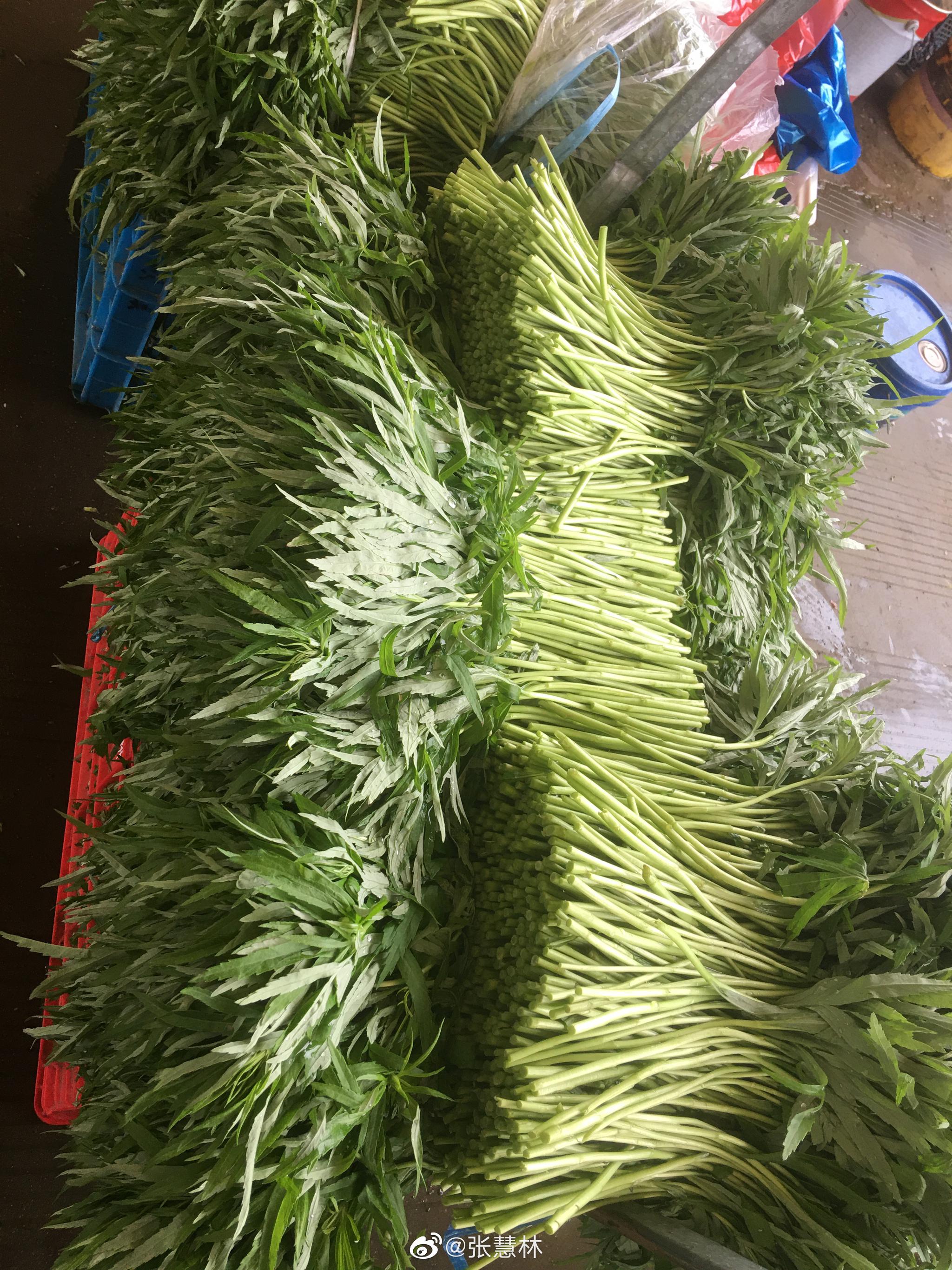 南京众彩今日蔬菜菜价|水芹|笋瓜|芦蒿_新浪新闻