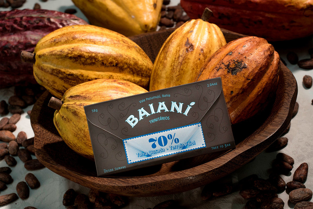 BAIANI 巧克力品牌形象logo设计及包装设计分享