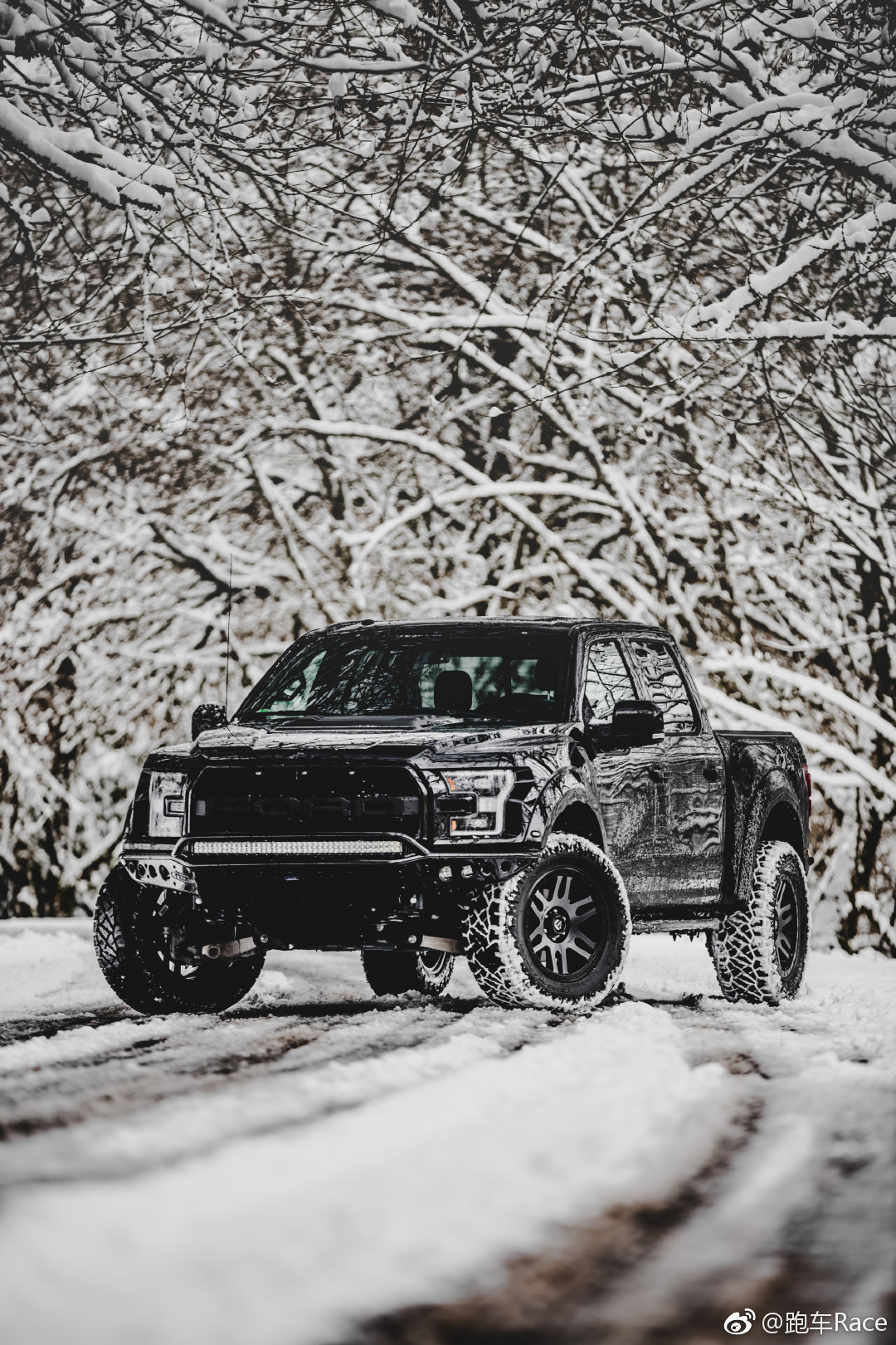 2018 Ford F150 Raptor大片-新浪汽车