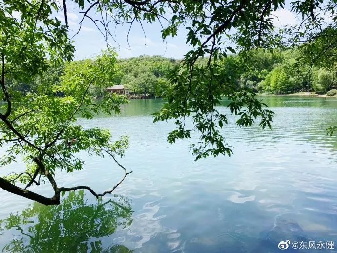 用这44张照片，迎接南京的夏天！