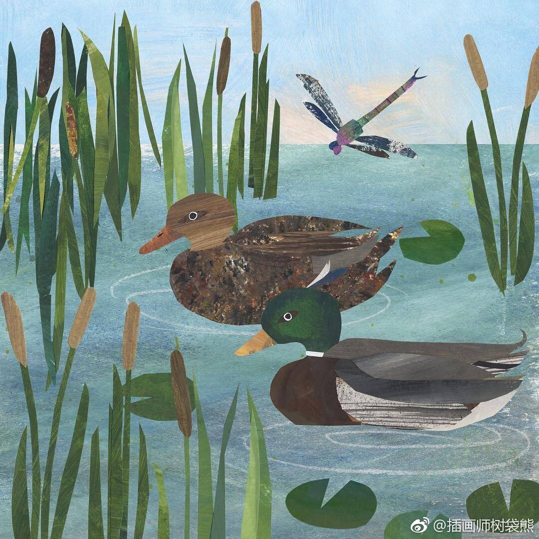 英国伦敦插画师 Clover Robin 春季系列拼贴插画设计作品|插画师|英国伦敦|插画设计_新浪新闻