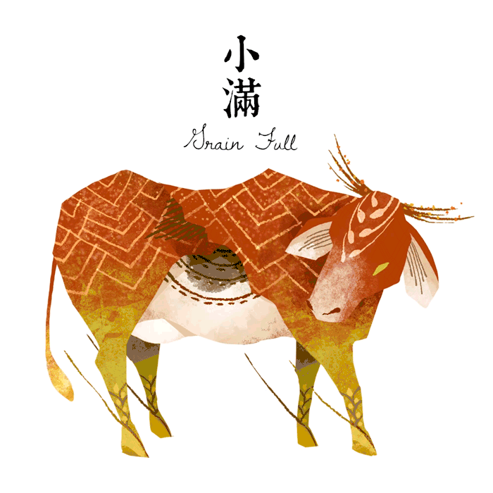 Cinyee Chiu创作的动物版二十四节气，活灵活现
