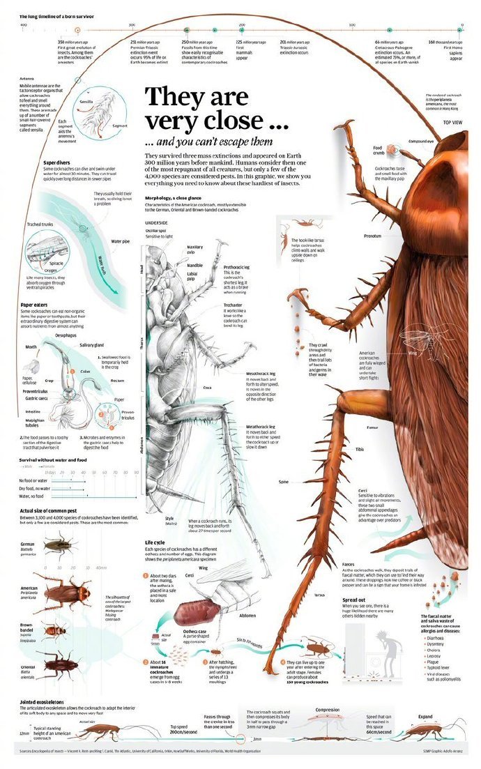 来自设计师 Adolfo Arranz 插图设计 | www.behance|插图|设计师|设计_新浪新闻