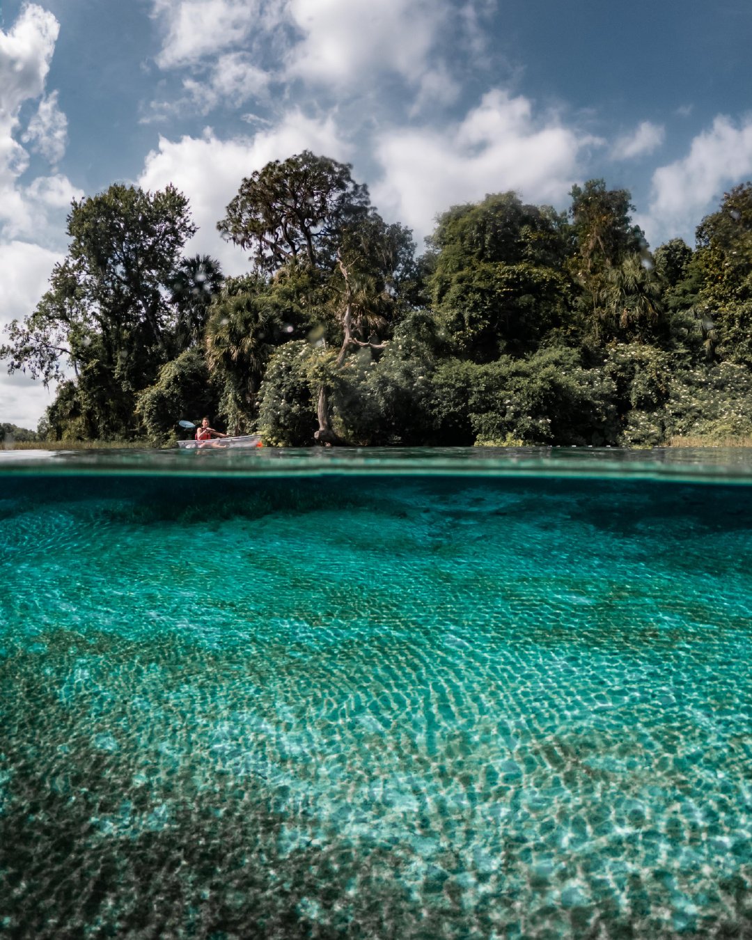 彩虹泉（Rainbow Springs ）的历史可以追溯到几个世纪前|彩虹|清泉|泉水