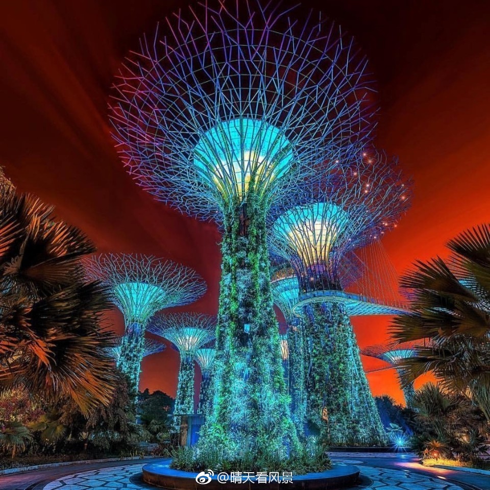 新加坡滨海湾公园超级树的迷人灯光秀