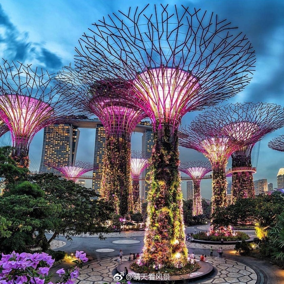新加坡滨海湾公园超级树的迷人灯光秀