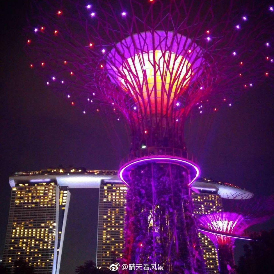 新加坡滨海湾公园超级树的迷人灯光秀