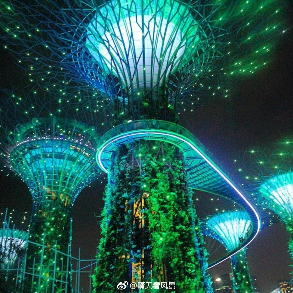 新加坡滨海湾公园超级树的迷人灯光秀