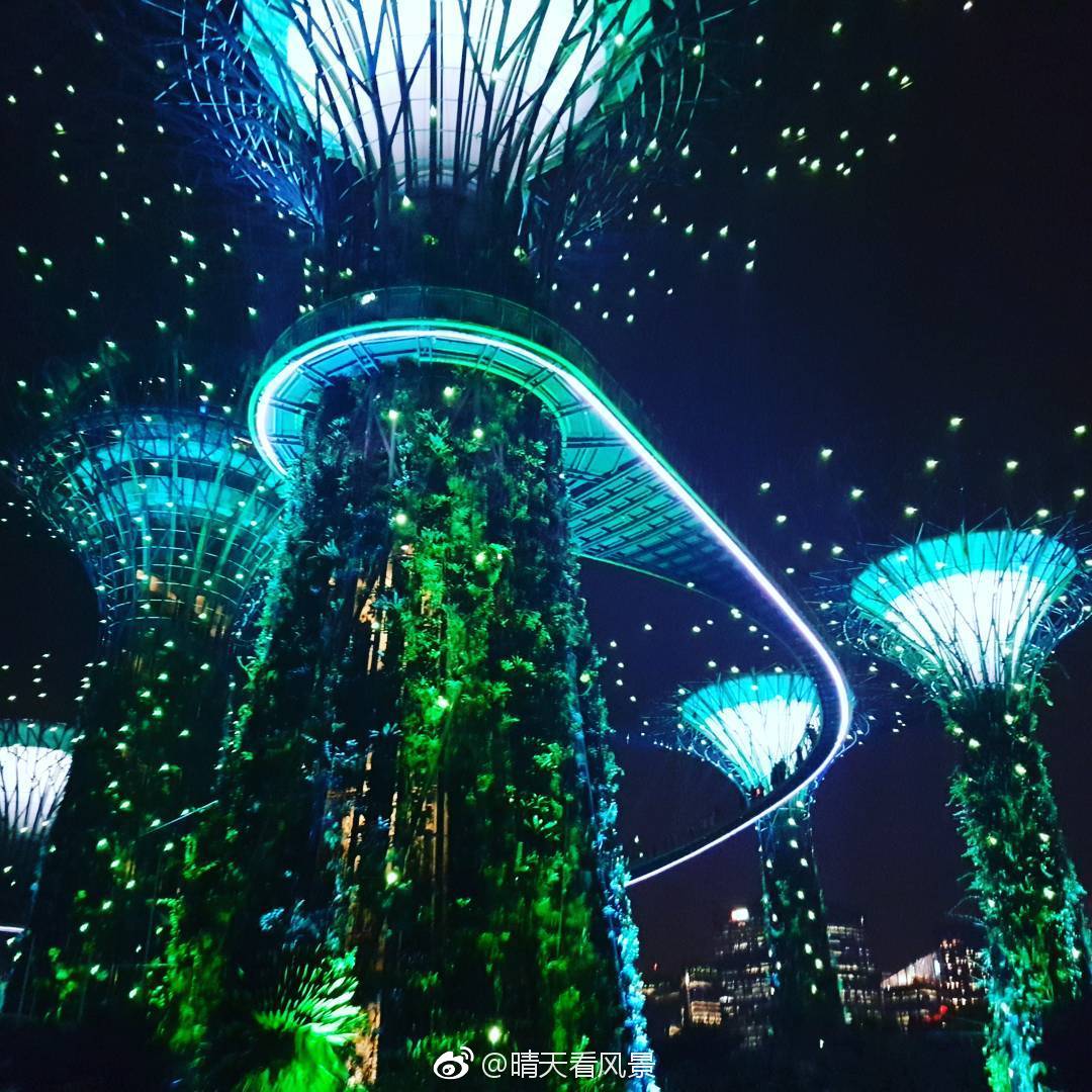 新加坡滨海湾公园超级树的迷人灯光秀