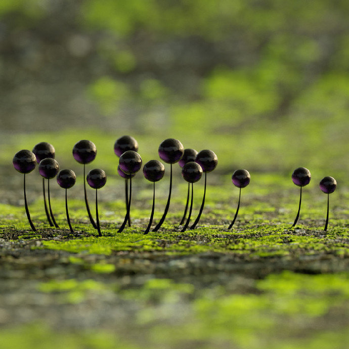 数字艺术家David Brodeur创作的“天体系列”的一部分