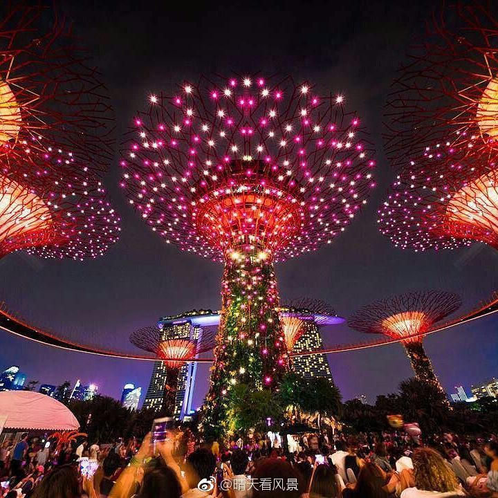 新加坡滨海湾公园超级树的迷人灯光秀