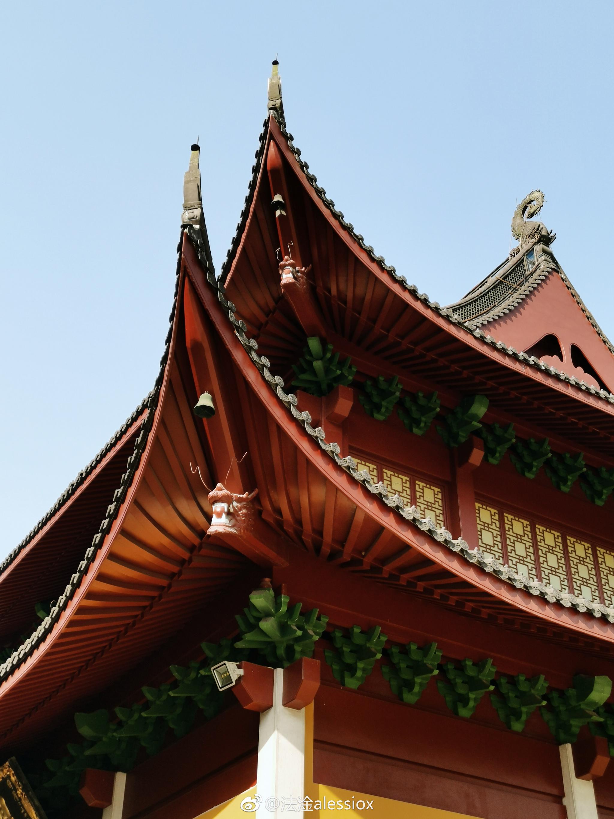 去收集春天的味道|龙井茶|古木|空山|摄影师|味道_新浪新闻