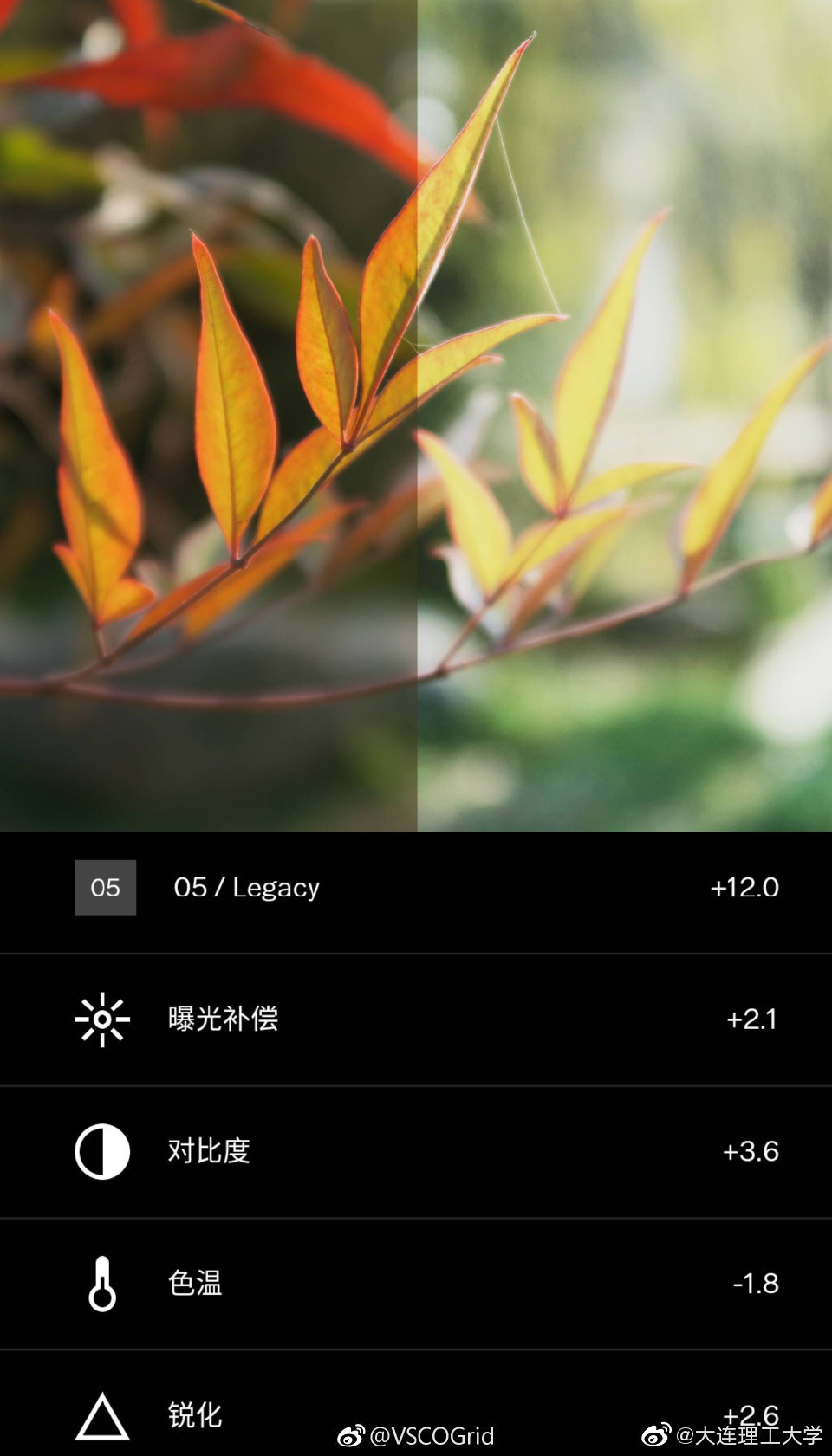 VSCO滤镜预设调色教程整理 @P图调色