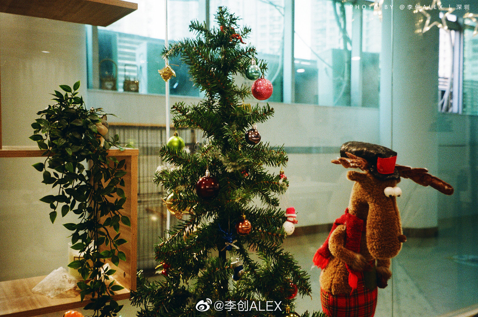 最入门的蔡司镜头PS机~contax tvs1|康泰时_新浪新闻