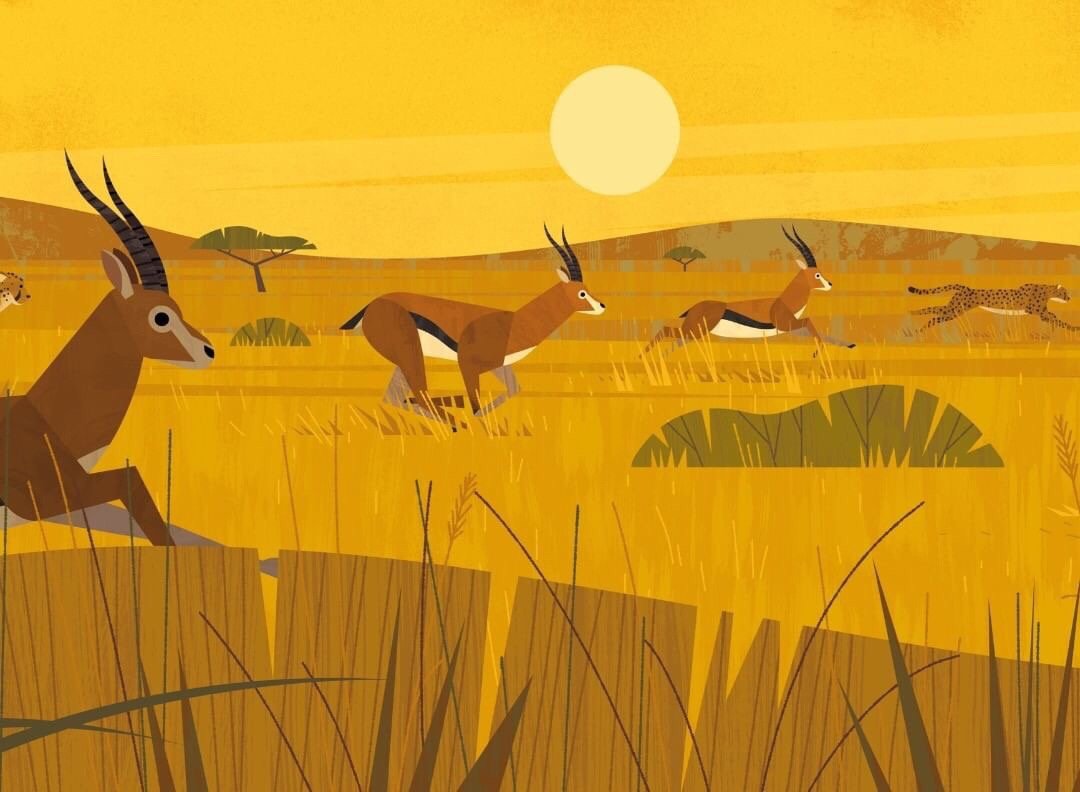 插画师Benjamin FLOUW