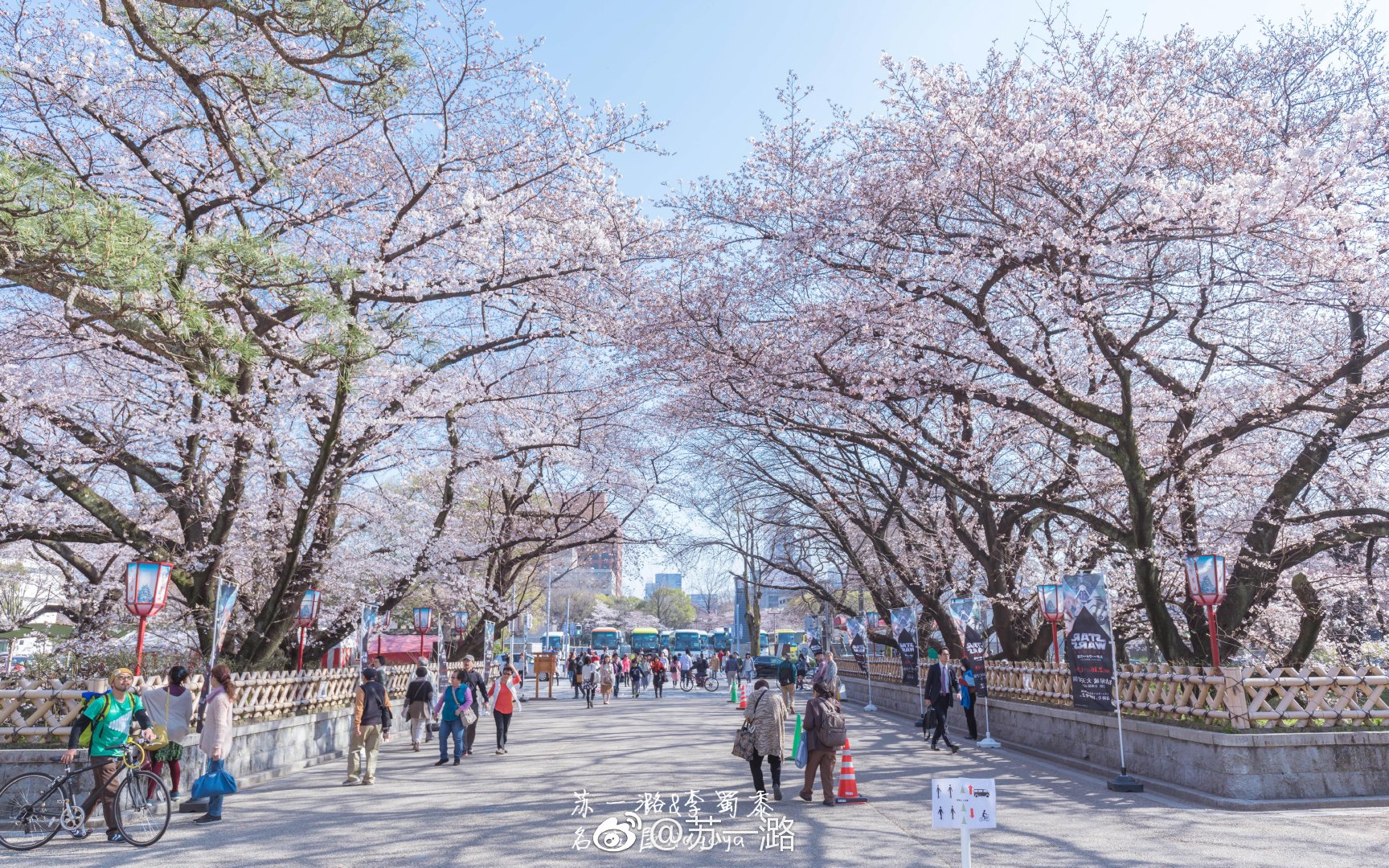 日本赏樱地之一，名古屋。名古屋城是德川家康于1612年所建|名古屋|名古屋城|樱花_新浪新闻