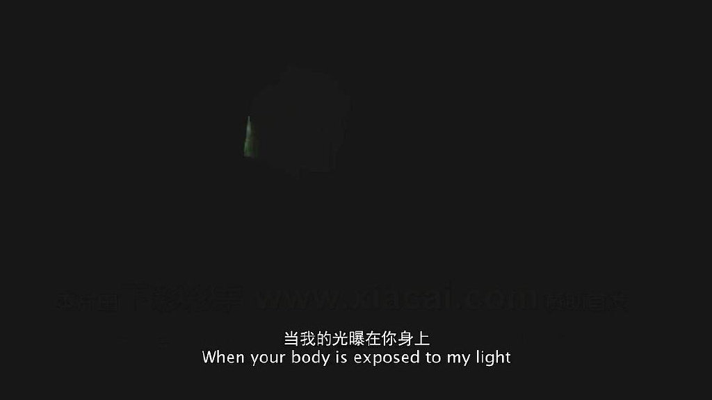 当我的光曝在你身上,重逢就是一间暗室。——《 路边野餐