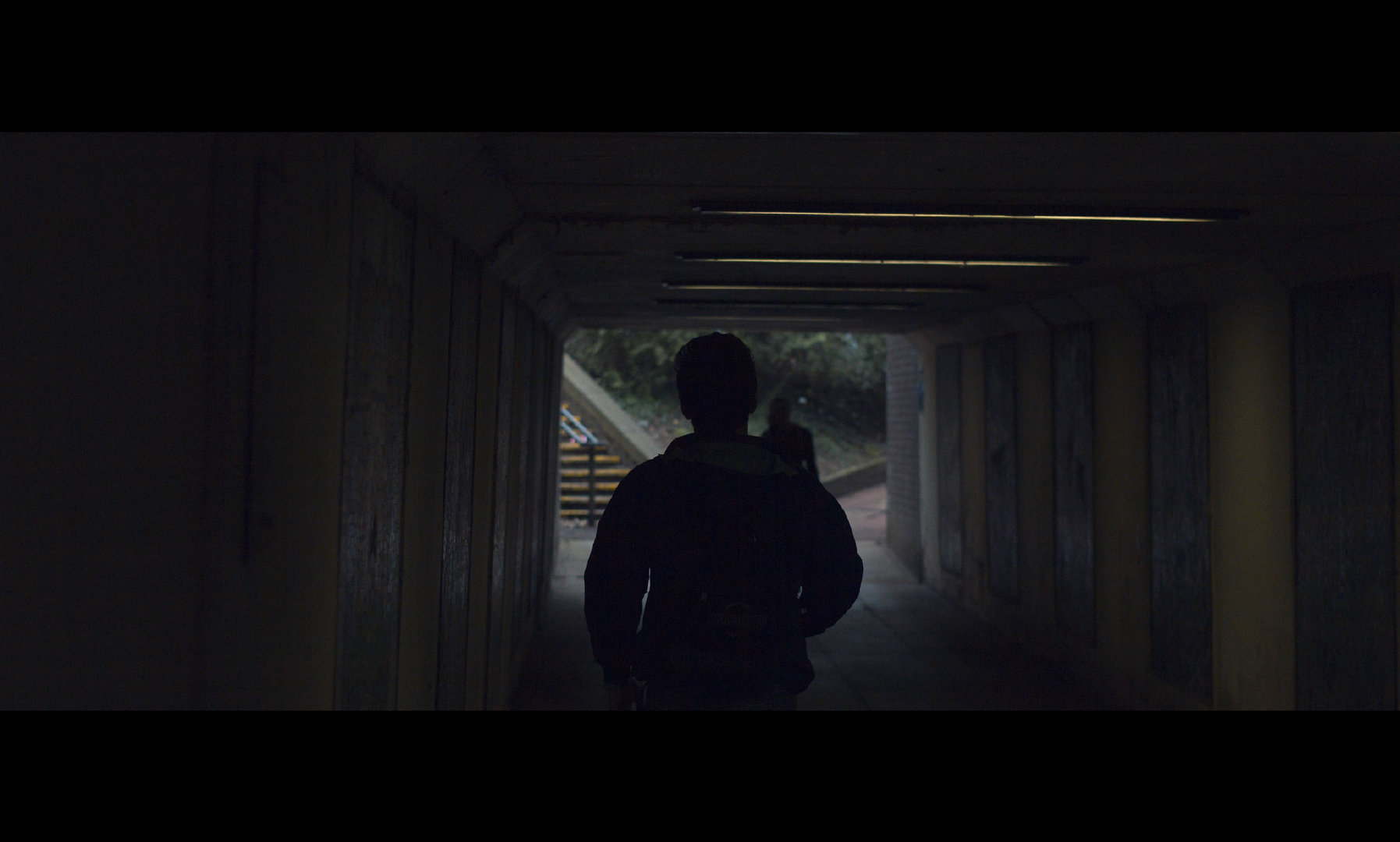 一个人如果因别人的愚蠢而生气的话