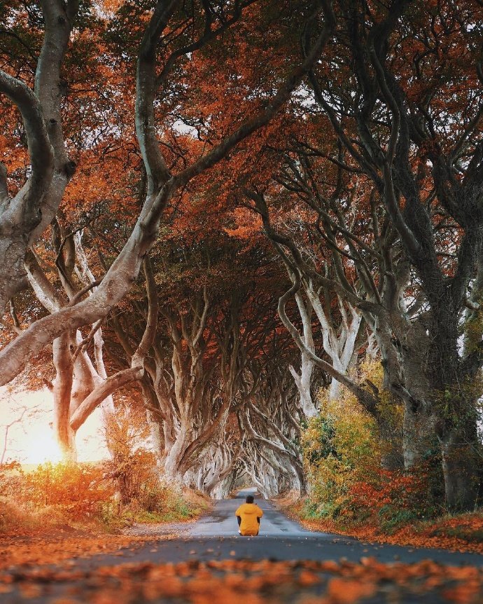 每当人远航归来，他总有故事可说。 JAMES RELF DYER|故事|摄影_新浪新闻