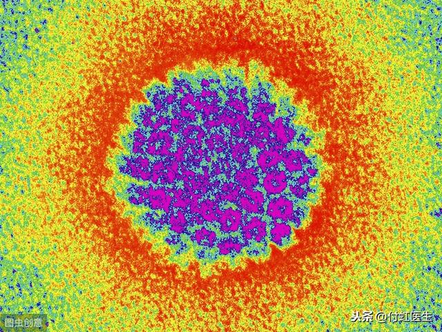 HPV56阳性可以先备孕吗？妇科医生说出大实话！