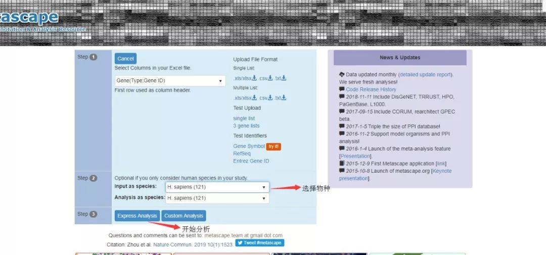 这才是生信学习的精髓啊！附如何进行基因通路富集分析__财经头条