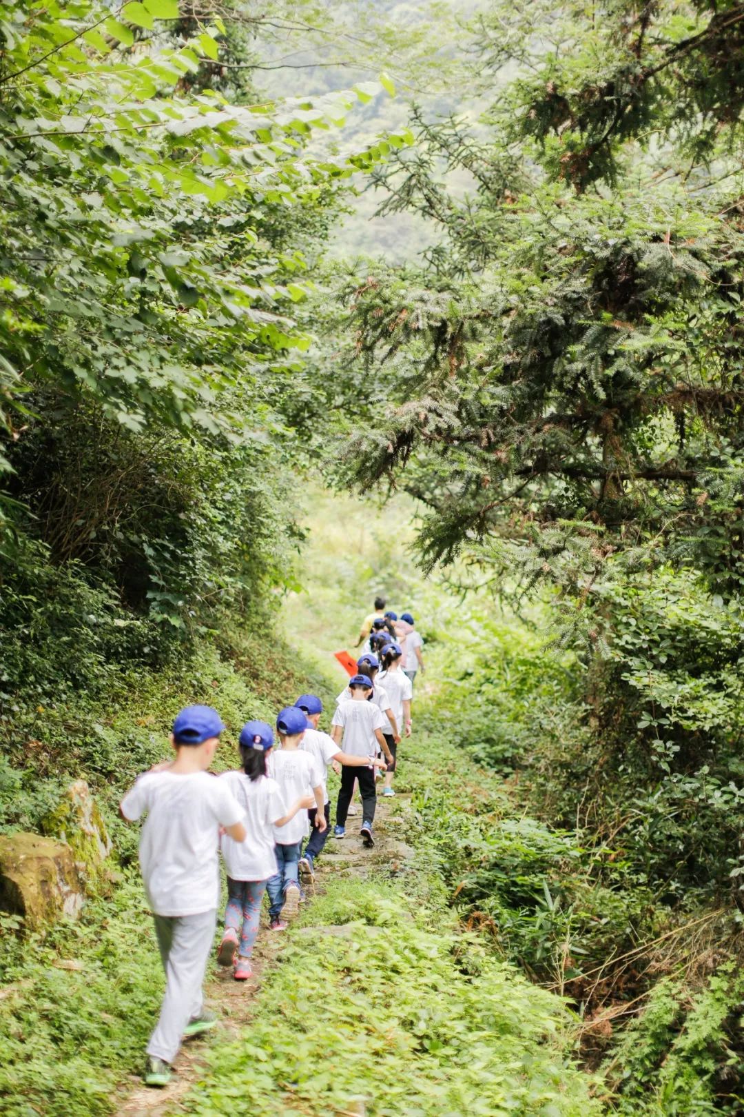 江浙沪周边竟藏了这么多完美溜娃地！上山下水住树屋，解锁完美暑假！|大自然|夏令营|马术_新浪新闻
