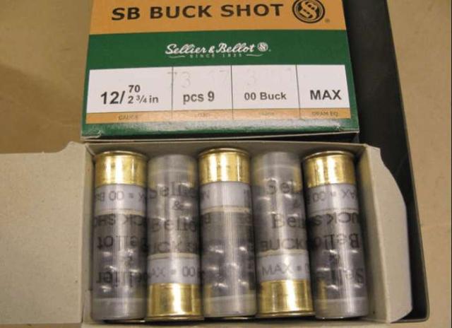 双独头弹（double slug）可能美国人觉得一颗弹头怕太孤独