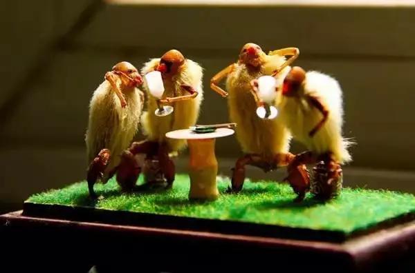 老北京传统手艺毛猴：惟妙惟肖的微观世界，却鲜为人知