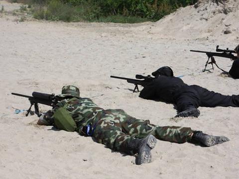 中国CS/LR3型狙击步枪|狙击步枪|弹匣|瞄准镜_新浪新闻