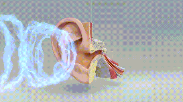 每秒震动高达40000次，超声波是怎么把东西洗干净的