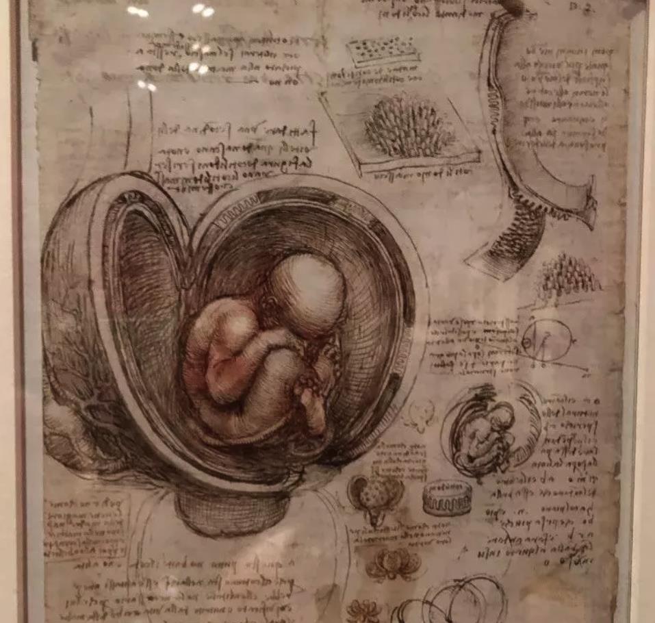 达芬奇有多厉害？不仅是天才，因太过“全能”还被认为是外星人