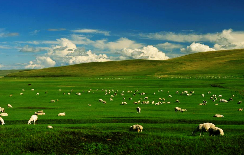 内蒙古最宜居的3个城市，一个是省会城市，一个有塞上江南美誉|内蒙古|塞上江南|美誉_新浪新闻