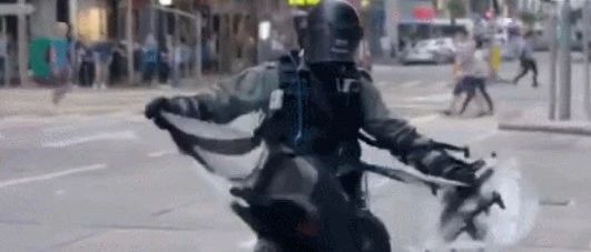 香港警察手撕“港独”旗帜，细细撕碎，极度舒适|港独|香港警察|旗帜_新浪新闻