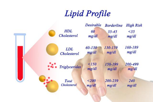 低密度脂蛋白偏高怎么办？医生教你做好2点，有效减少心血管风险