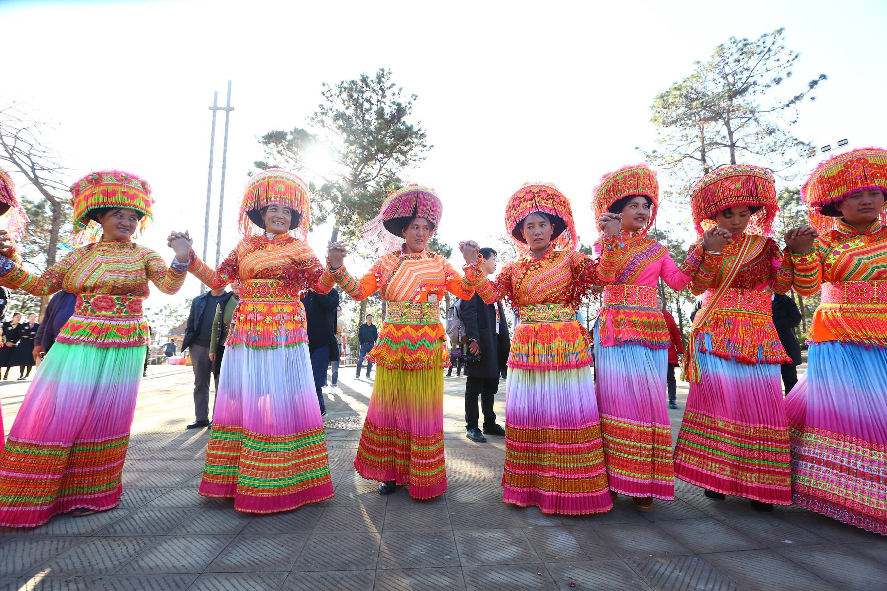 来和我们跨越冬季一起享受米易四季如春的阳光 享受康养新生活|新山|米易|傈僳族_新浪新闻