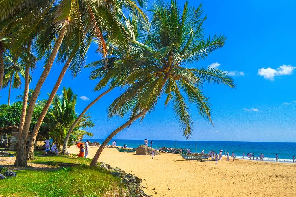 最值得你打卡的旅行地，斯里兰卡美到让人心动|斯里兰卡|游客|大象_新浪新闻