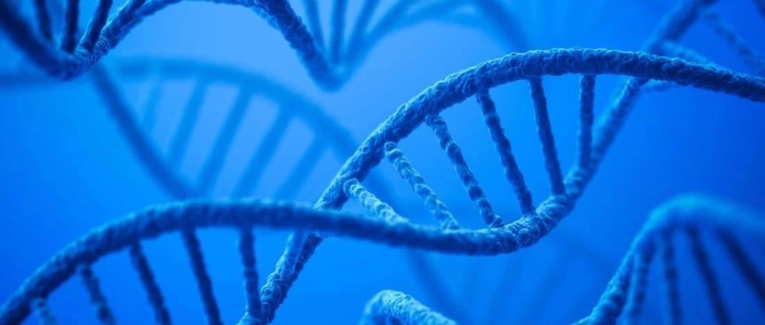 从千里抓凶到遗骸鉴定，屡立奇功的DNA分析技术| 走近科学|杰弗里|匈牙利_新浪新闻